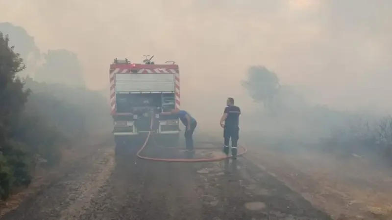 Ariana: deux incendies dans la forêt de Jebel Nahli, maîtrisés ...