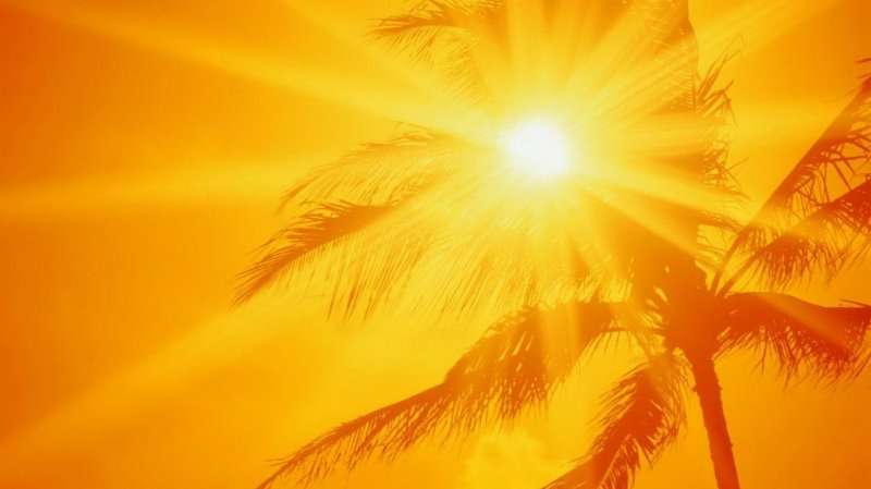 Canicule: Comment éviter le coup de chaleur ? | Mosaique FM