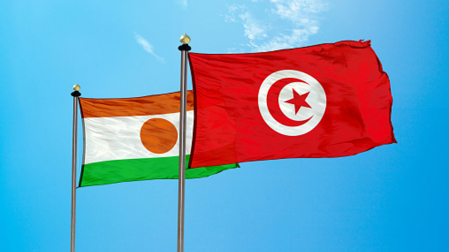Adnen Limam: La Tunisie est concernée par la situation au Niger | Mosaique FM