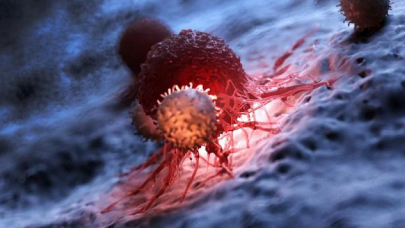 L'OMS prévient d'un bond de 81% des cas de cancers d'ici 20 ans ...