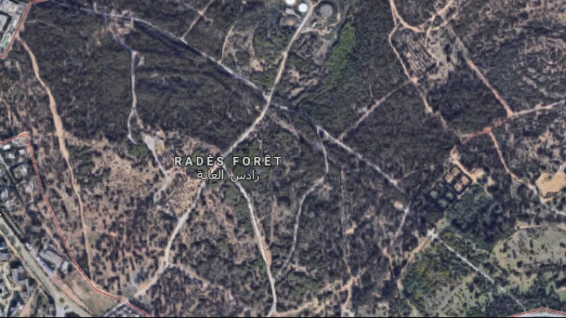 Pétition pour réclamer le sauvetage de la forêt de Rades | Mosaique FM