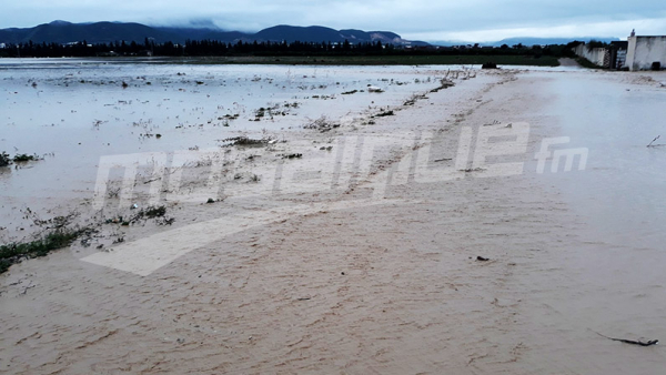 Rades : Montée des eaux à Oued Meliane