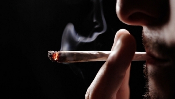 400 mille consommateurs de la zatla en Tunisie