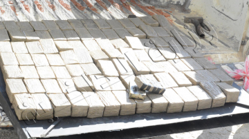 Saisie de 52 kg de Zatla